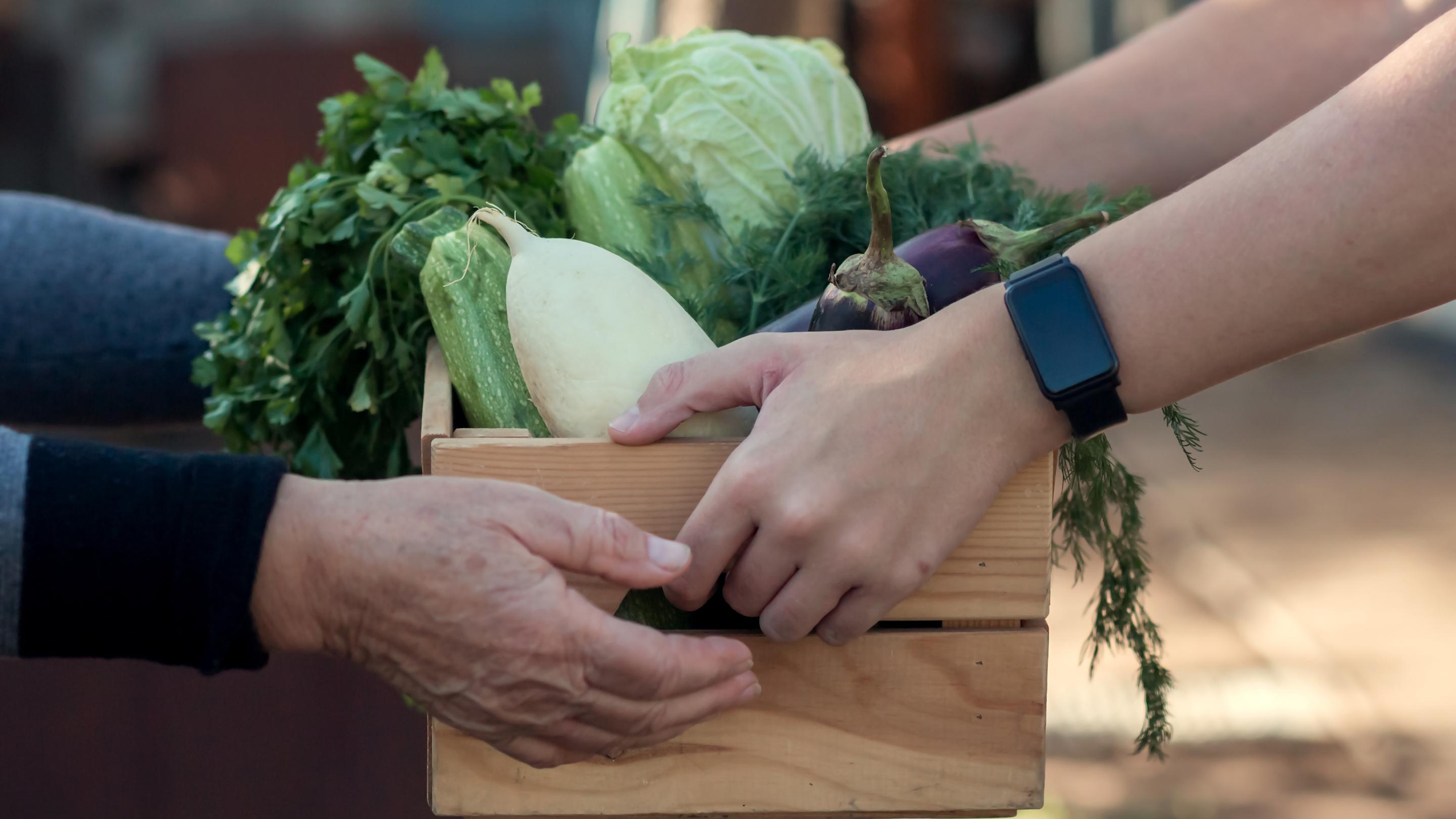 Opportunities in the food transition