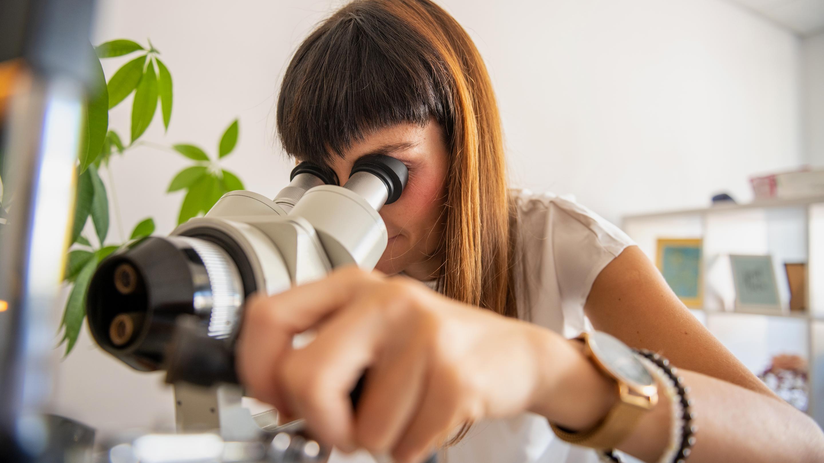 Roundup: US employer resources on states’ recreational marijuana laws